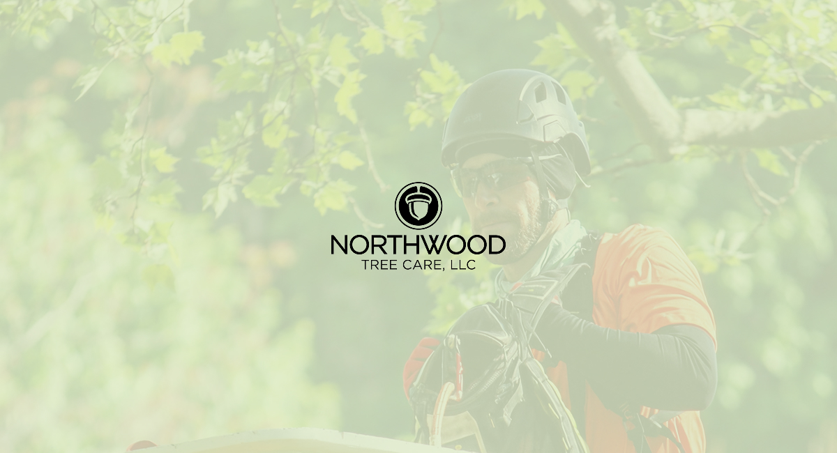 Northwood Tree Care
